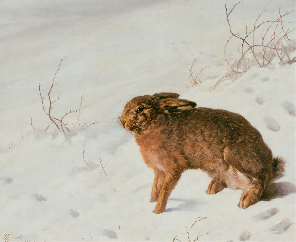 Hase im Schnee von Louis Ferdinand von Rayski: Kunstdruck